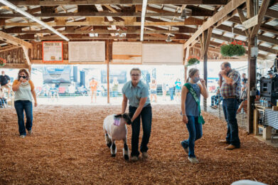 Clark County Fair | Clark County Fair